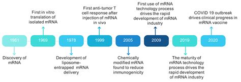 Harnessing The Potential Of Mrna Technology For Precision Cancer Treatment