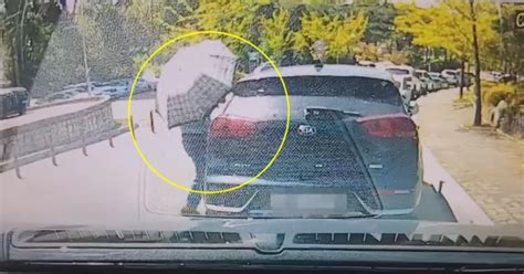 맑은 날 우산 쓴 남성 주차된 남의 차에 다가간 이유