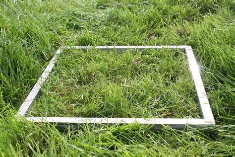 Grass Measuring Quadrant Farm Galore
