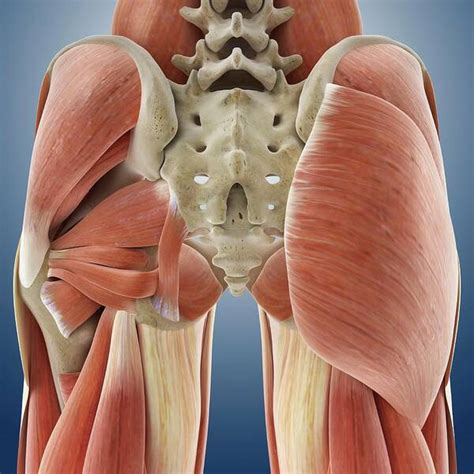 Gluteal Art Pixels