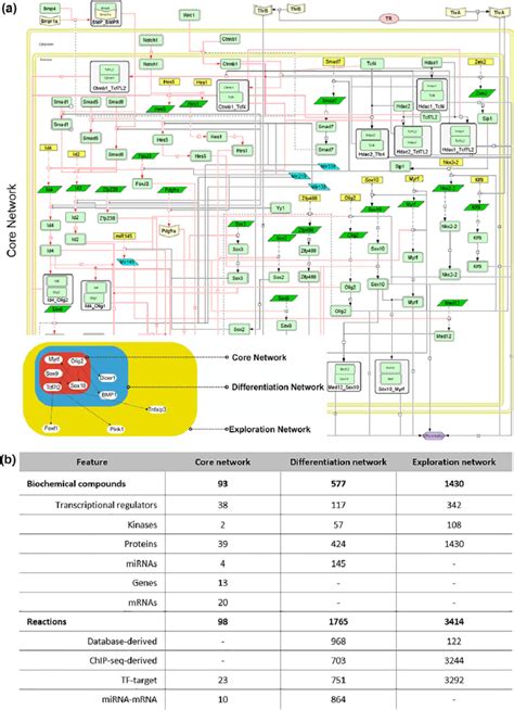 Overview Of The Core Exploration And Differentiation Networks A Download Scientific