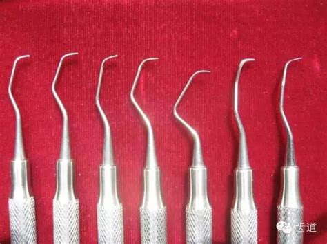 Gracey刮治器 牙周翻瓣术 Gray刮治器分类 第11页 大山谷图库
