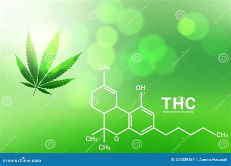 Thc Or Tetrahydrocannabinol Molecular Structural Chemical Formula Stock Vector Illustration Of