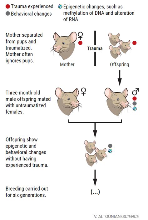 Science：这些精神伤害竟能遗传6代？连爸妈离婚都算…… 医学界 助力医生临床决策和职业成长