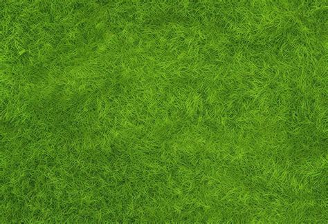 Green Grass Texture Background Premium Ai Generated Image