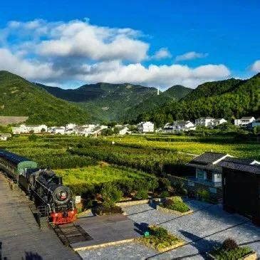 学足迹 走在前丨舟山新建村践行两山理念 村民共享乡村振兴发展成果 村里 休闲吧 低碳
