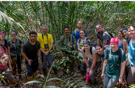 Forestry Daniels Facultys Forestry