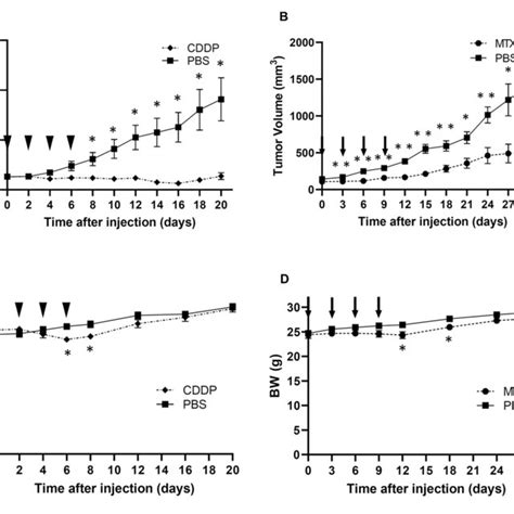 The Characteristics Of Tumours From The Patient Derived Xenograft Pdx Download Scientific