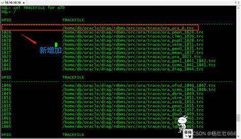 Oracle视图查询慢oracle11g新特性 Vdiaginfooracle 视图慢 Csdn博客