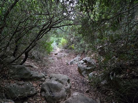 Harriman Hiker Harriman State Park And Beyond Twins Cave At Nachal