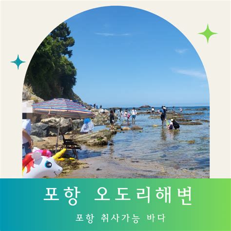 포항 아이랑 바다 오도리간이해수욕장 취사가능 스노쿨링 게잡기 대구근교 평상대여 바다 네이버 블로그