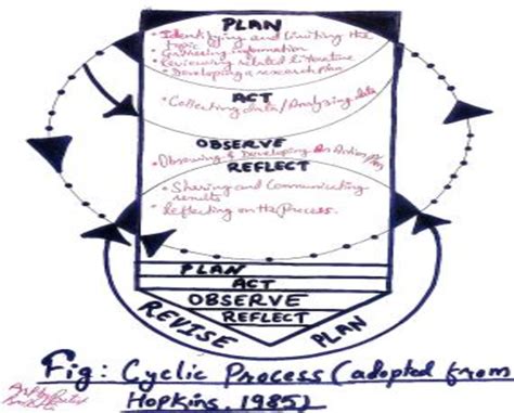Cyclic Process Adopted From Hopkins 1985 Download Scientific Diagram
