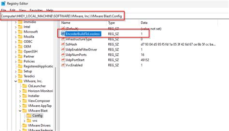 Vmware Horizon 2312 Adds Lossless Support In The Blast Protocol Cloudworkspace Blog