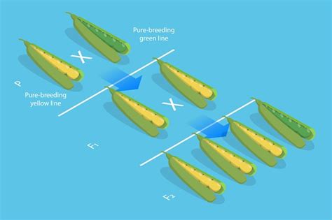 Premium Vector 3d Isometric Flat Vector Conceptual Illustration Of