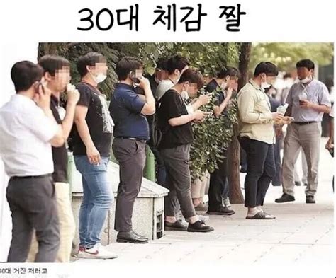 Daum 카페
