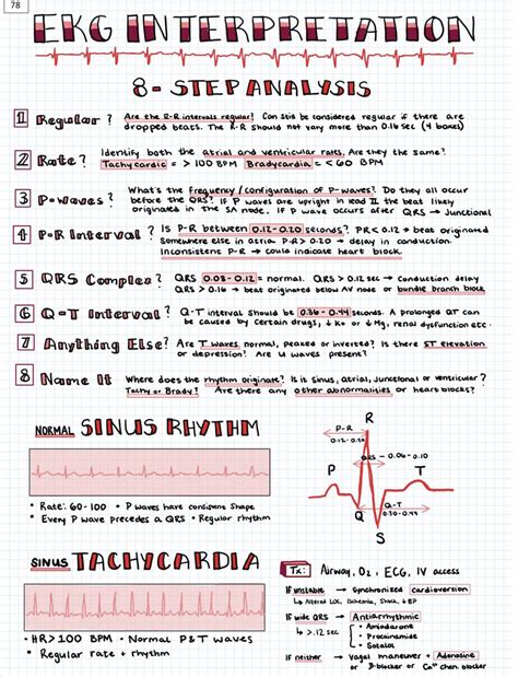 1 5 Step Ekg Interpretation 5 Step Ekg Interpretation