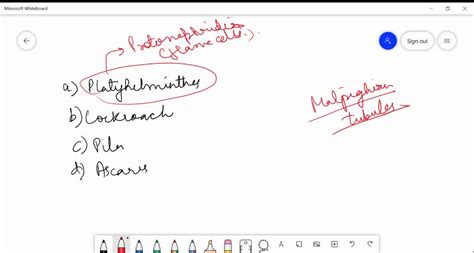 Solvedthe Midgut Of Cockroach Contains A Ileum B Colon C Rectum D All Of These