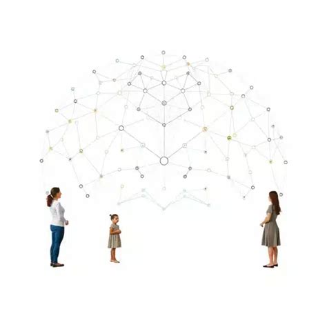 Morphogenetic Field The Place Where Frequency Becomes Form