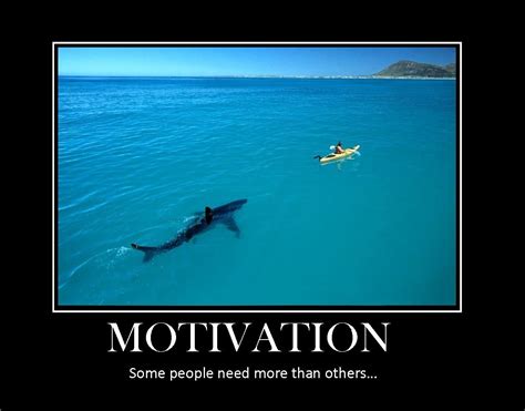 270 Demotivational Posters Ideas Demotivational Posters