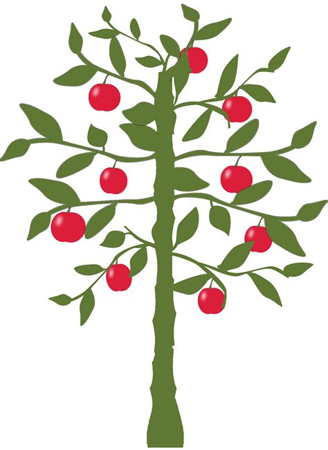 Fruit Apple Tree Others Clipart Clip Art Clipartix