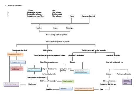 Gambar Pathway Pneumonia 47 Koleksi Gambar