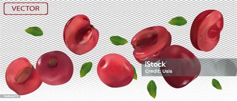 체리는 다른 각도에서 떨어지는 투명한 배경에 녹색 잎이 달린 체리를 날아다갑니다 3d 사실체리 벡터 일러스트레이션 건강관리와 의술에 대한 스톡 벡터 아트 및 기타 이미지