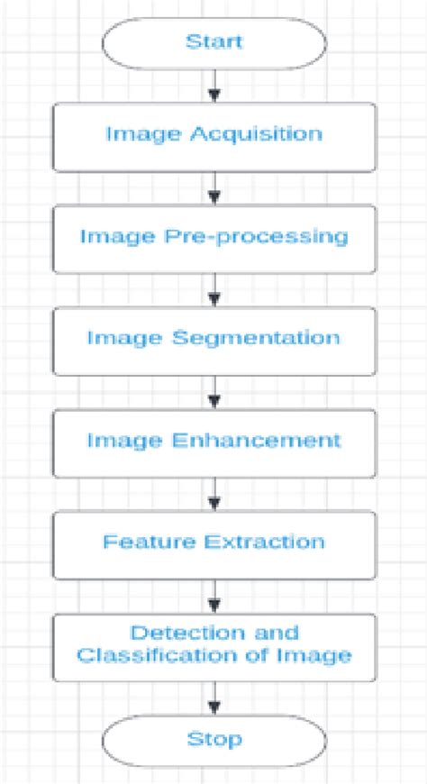 Figure 5 From Cotton Crop Disease Detection System Using Deep Learning Approach Semantic Scholar