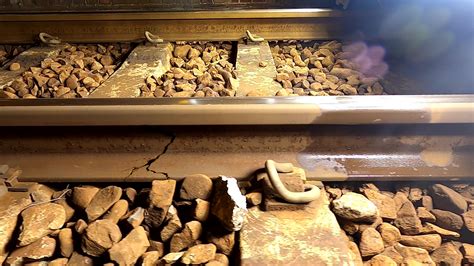 Side Rail Xx Object Detection Dataset By Raildata