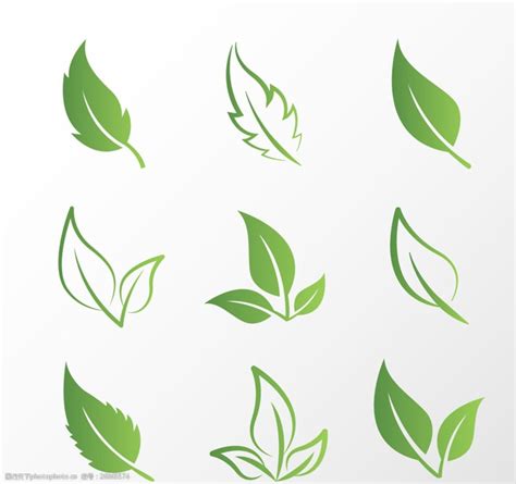 树叶图片 图行天下素材网