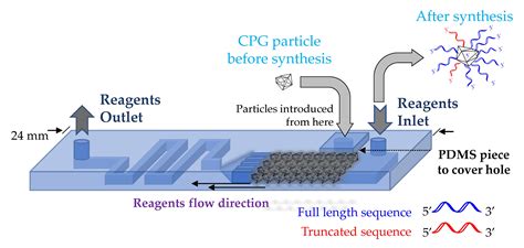 Oligonucleotide Synthesis