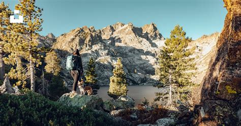 등산객과 반려견은 경치 좋은 산의 전망을 즐길 수 있습니다 사진 Unsplash의 무료 여자 이미지
