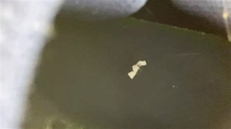 Goddess Ally Pov Making You Sniff My Stinky Runners Ally Etana