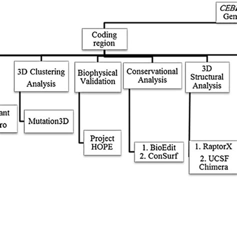 Descriptive Workflow Of Softwares Used In Snp Analysis Snp Indicates