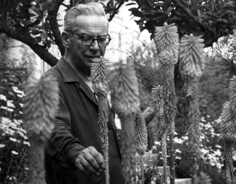 Ivo Andrić Life In Herceg Novi