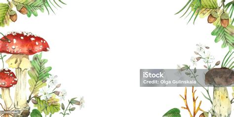 숲을 테마로 한 직사각형 프레임 빨간 파리 아가리크 포르치니 버섯 솔잎 참나무 잎 흰 꽃 모든 물체는 수채화로 손으로 칠해져 있습니다 인쇄 엽서에 적합 가을에 대한 스톡