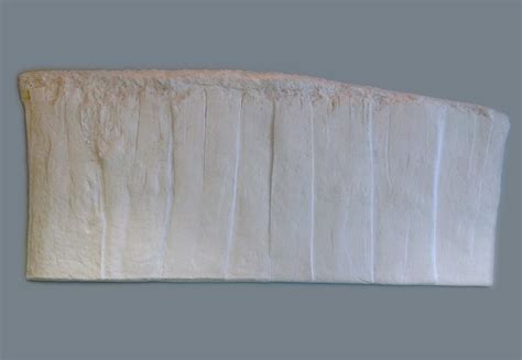 Vivienne Roche Artist 2019 What Once Was Here