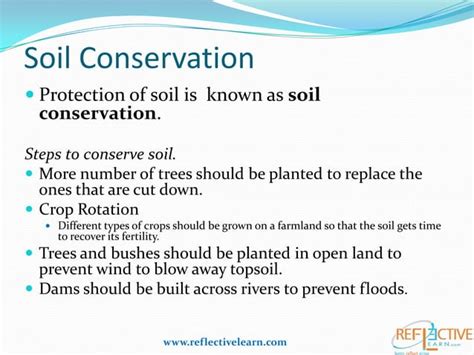 Class IV Science Soil PPTX Gardening Home Garden