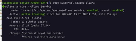部署大模型 解决rvice failed with result exit code 的问题 alaso