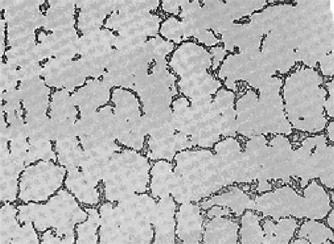 Microstructure Of Centrifugally Cast Hk40 Tube Steel [1] Download Scientific Diagram