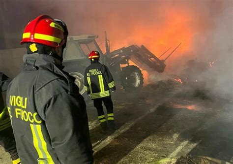 Sestola Rogo In Allevamento 140 Capi Di Bestiame Messi In Salvo La