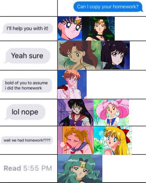 Pin By Olivia Taylor On Sailor Moon Sailor Moon Funny Sailor Chibi