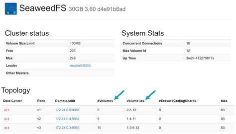 Seaweedfs Object Storage Docker Compose Stack S Api Commands Blog Jklug Work
