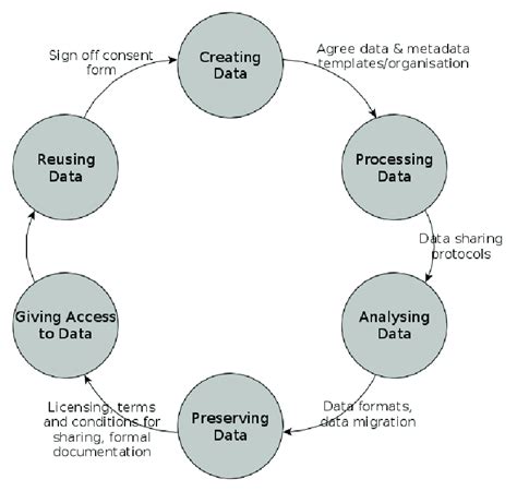 Data Processing Cycle