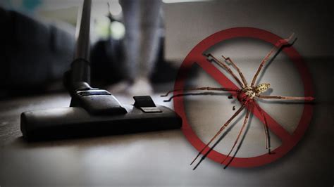 Minecraft Znajdowanie Folderu Oto Jak To Zrobić Practical Tips