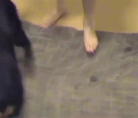 Perverted Male Zoofil Sucks His Dog In Dog Xxx Porn