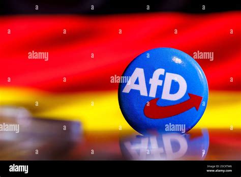 Symbolfoto Afd Deudeutschlandillustration 07022025 Ein