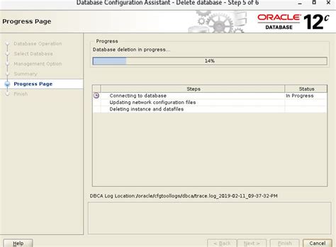 Database Configuration Assistant Dbca Delete Databases 12c On