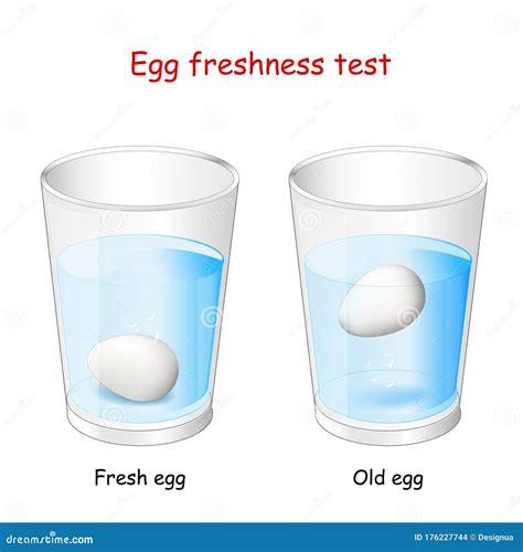 Sink Or Float Egg Freshness Test Vector Illustration 72602574
