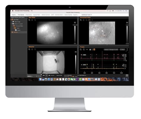 Software Analysis Miniscope Imaging Inscopix Inc