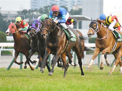 2019年に京阪杯vのライトオンキューが競走馬登録抹消 今後は乗馬に 競馬ニュース Netkeiba